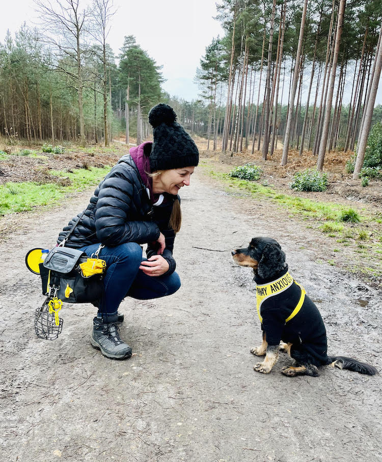 How Bella inspired Sarah Jones' #DogsInYellow to give anxious dogs ...